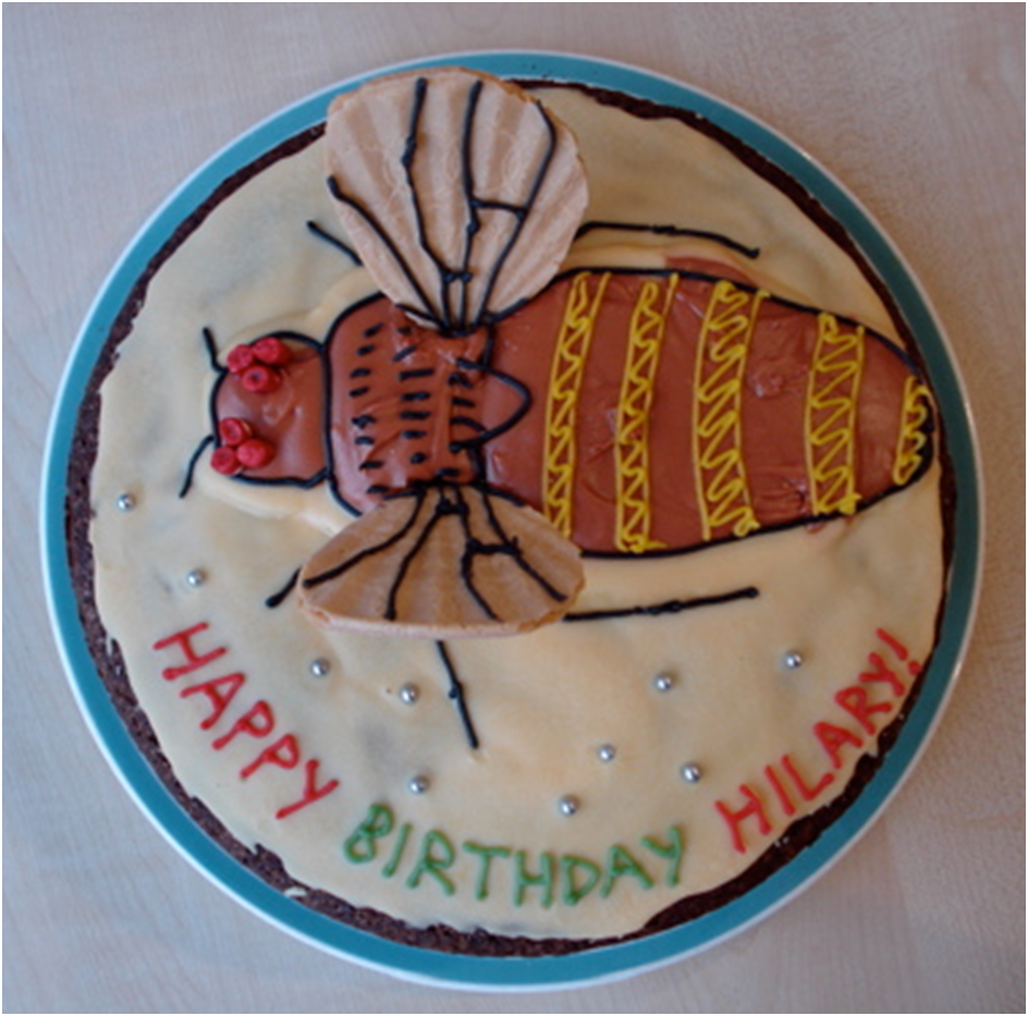 Cake Project | ashe lab