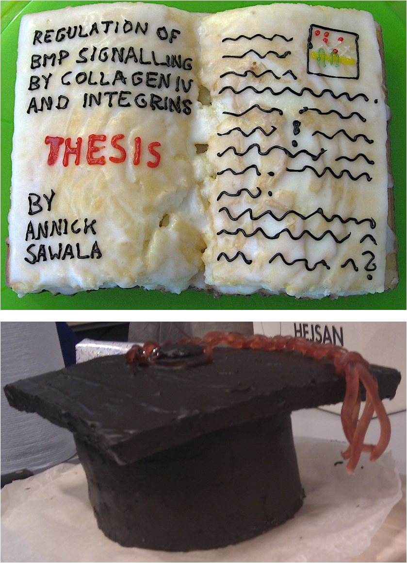 Cake Project | ashe lab