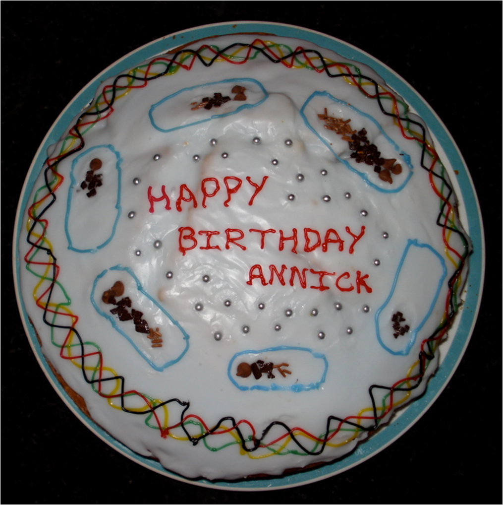 Cake Project | ashe lab